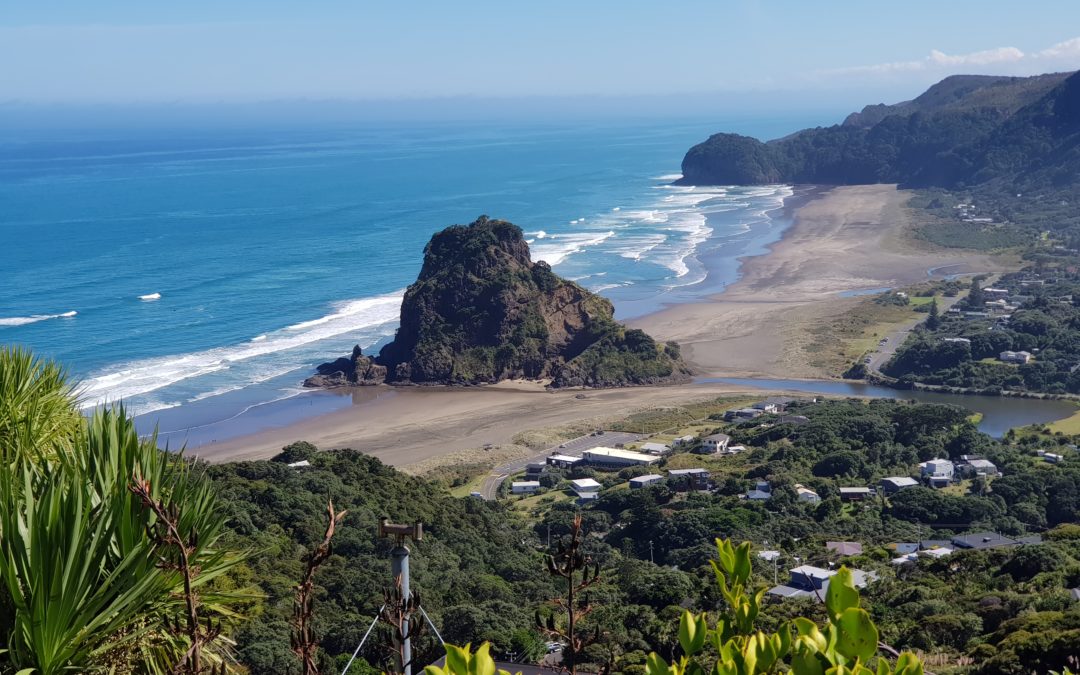 DSA 'Have A Go' Day - Adaptive Surfing New Zealand